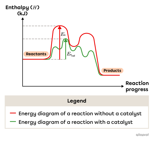 Les catalyseurs | Alloprof